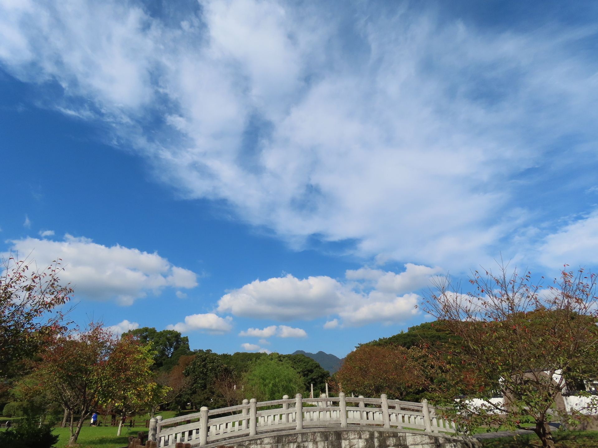 映画「盤上の向日葵」といつもの公園とお米: ゴンマック